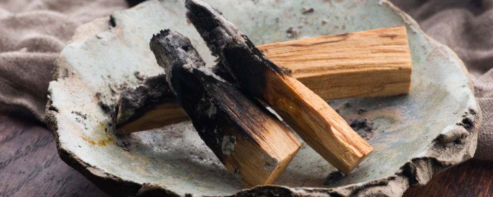Qu’est-ce que le palo santo et d’où vient-il ? | Aeternum, boutique ésotérique