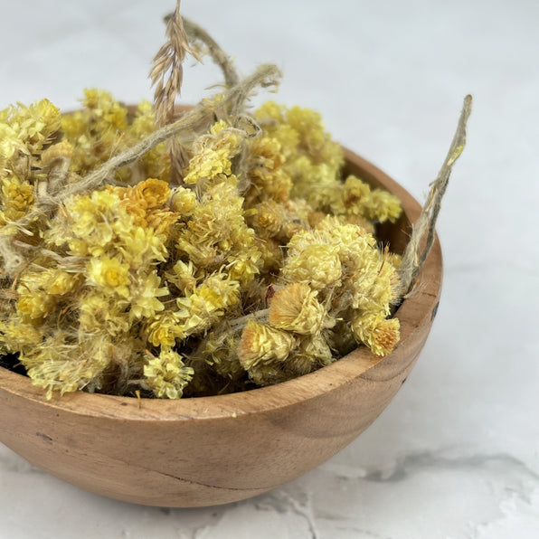Ergot de Seigle : vertus et usages magiques | Aeternum, herboristerie